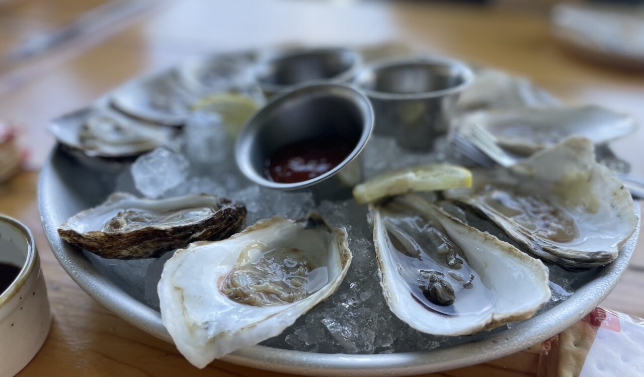 Corpus Christi: 7 Family-Friendly Summertime Musts in the Gulf Coast ...