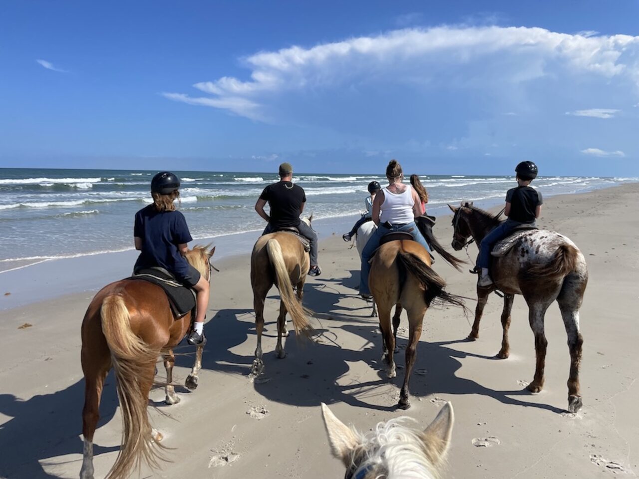 Corpus Christi: 7 Family-Friendly Summertime Musts in the Gulf Coast ...